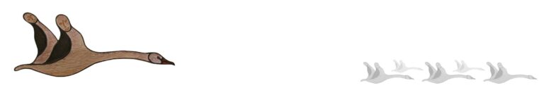 Health Data – Alaska Native Epidemiology Center