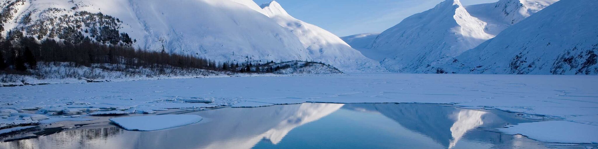 Health Data – Alaska Native Epidemiology Center