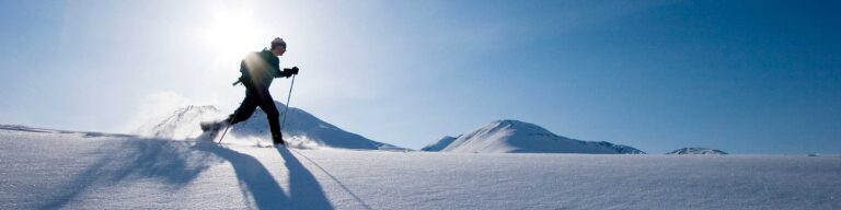 About Us – Alaska Native Epidemiology Center