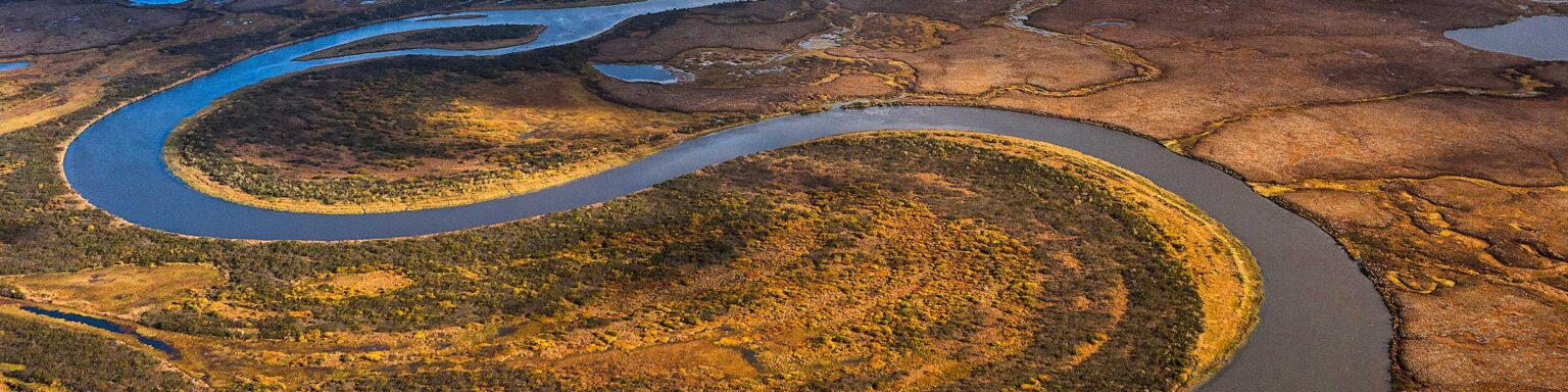 Factsheets – Alaska Native Epidemiology Center