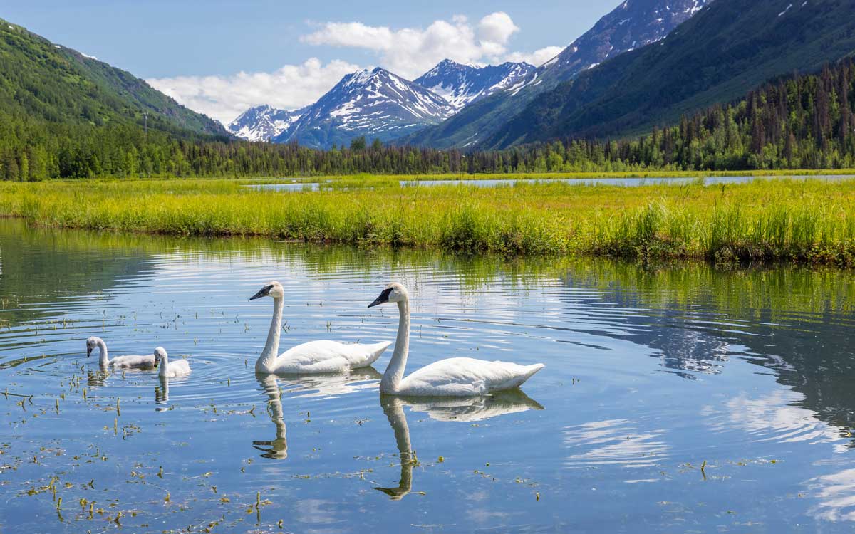 Alaska Native Epidemiology Center – Using Data to Improve Health